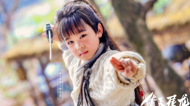 From Lu Yi to Wu Lei, and then to Han Haolin: the path of child stars ...