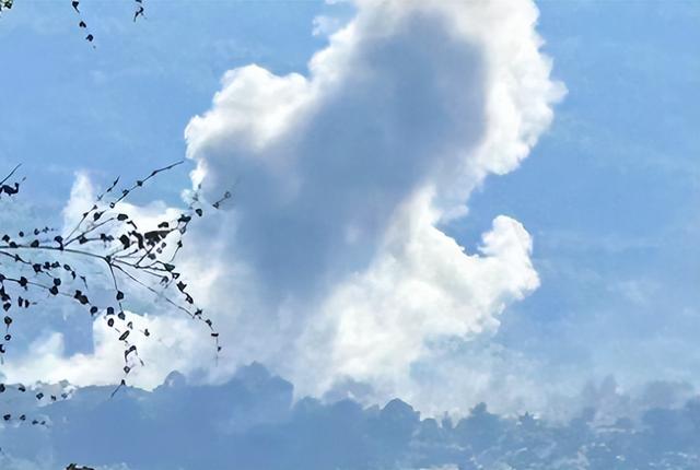 The Burmese army dropped poison gas bombs, poisoning allied soldiers ...