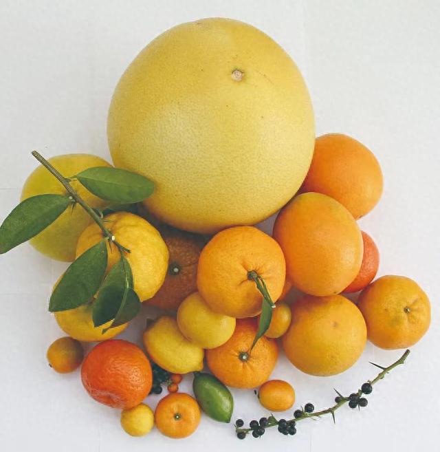 After 10 years of traveling over mountains and ridges, it was finally ...