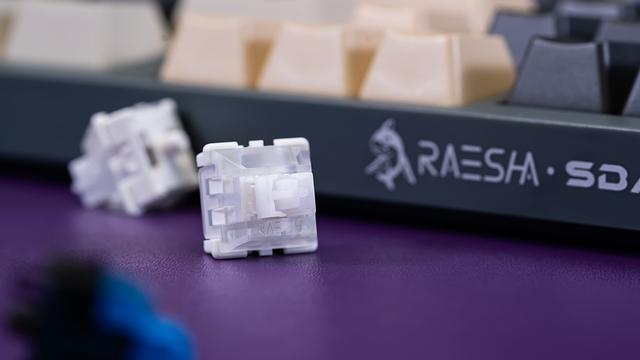 Don't worry about the emergency stop of Valorant with RAESHA magnetic ...