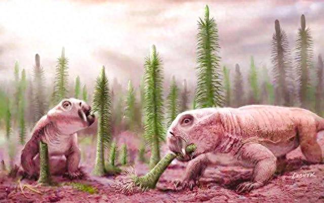 Earth's ancient creatures - Dicynodonts - iMedia