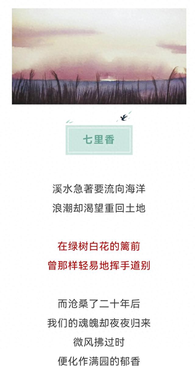 Xi Murong's 9 beautiful poems amaze the time and soften the years - iMedia