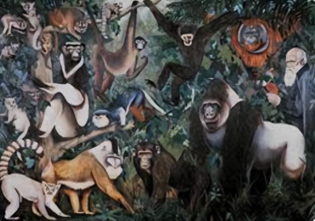 Ecology and environmental adaptation of primates: food, habitat and ...