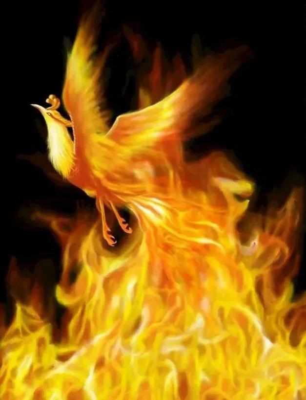 2024-2043, Nine Purple Fire Luck - iNEWS