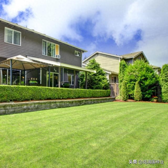 How to design a courtyard lawn? How to be in harmony with nature and ...